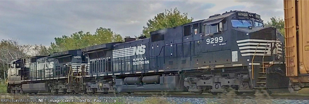 NS 9299